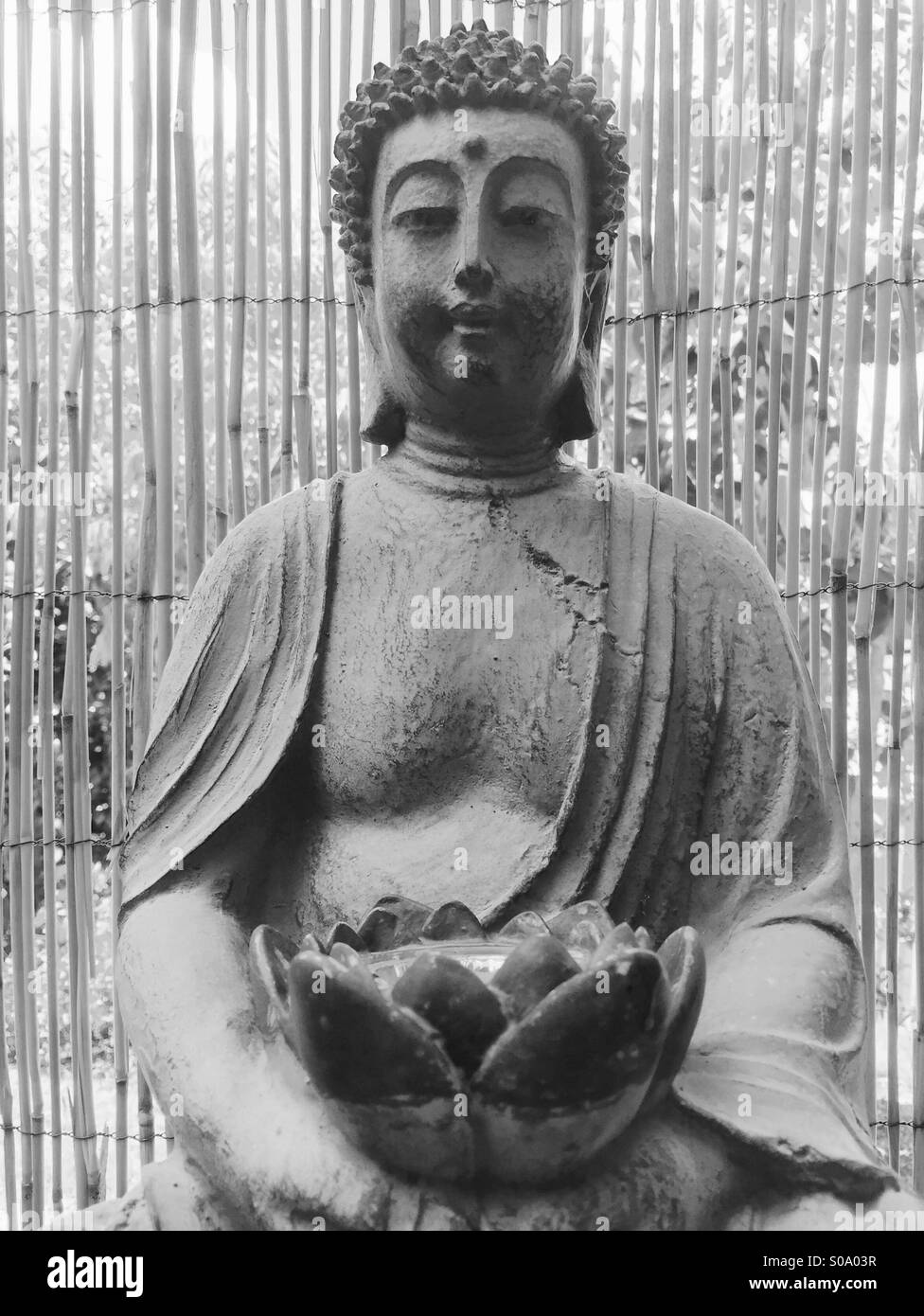 Budda hi-res stock photography and images - Alamy