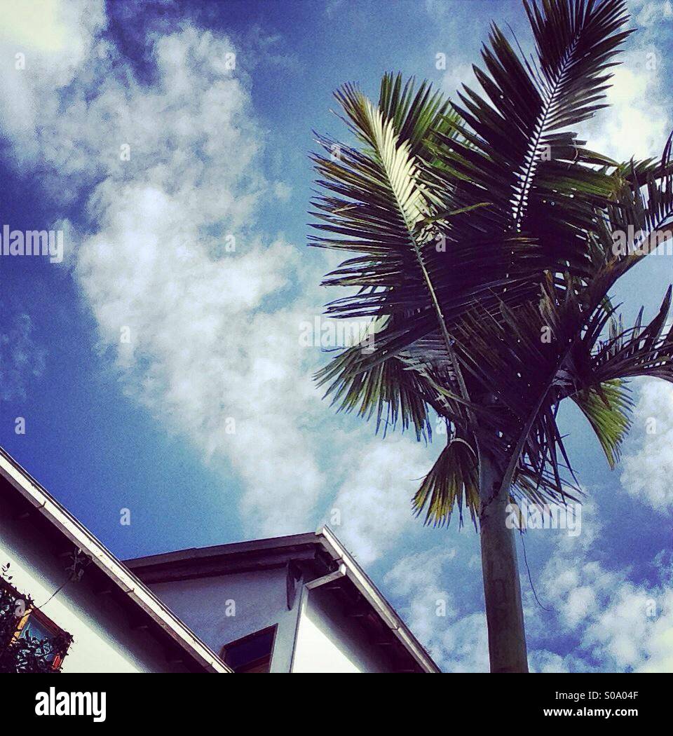 Sunny day in Manizales, Colombia Stock Photo - Alamy