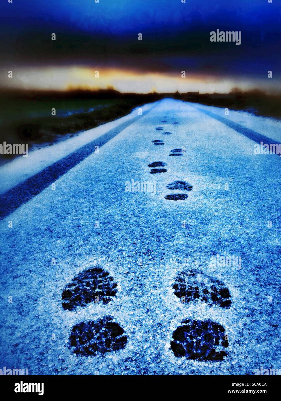Footprints on snow covered road Stock Photo - Alamy