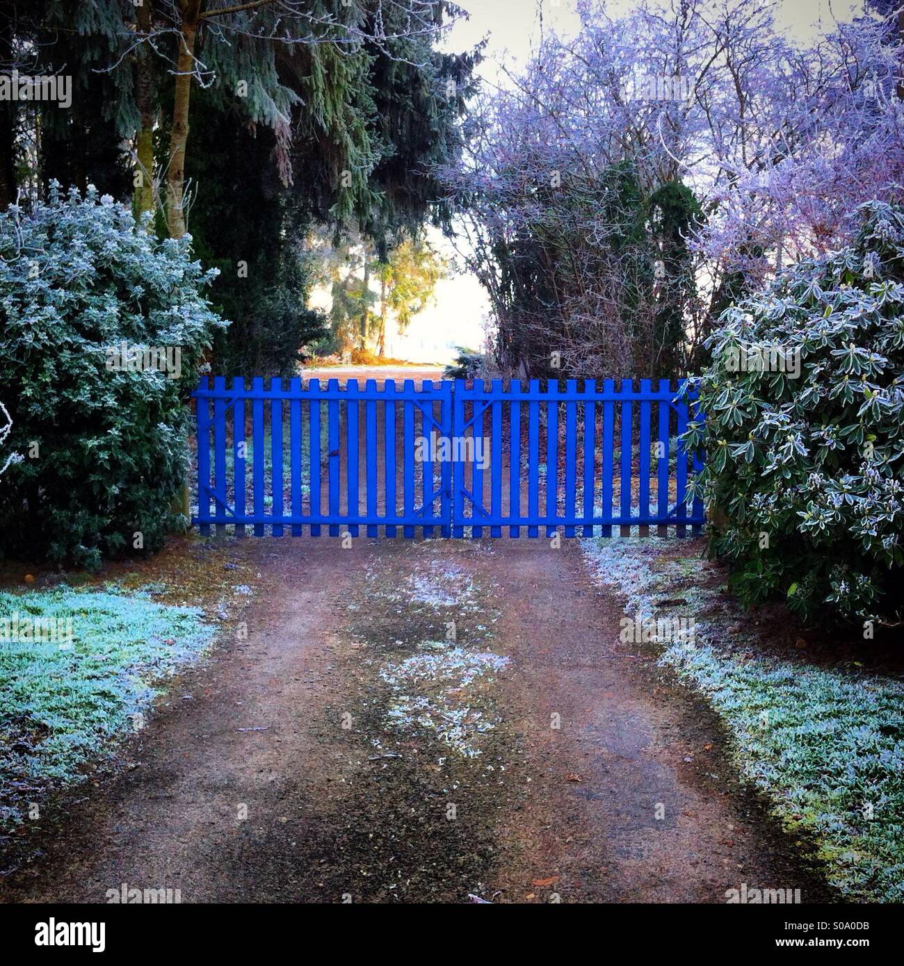 The blue gate is closed Stock Photo - Alamy