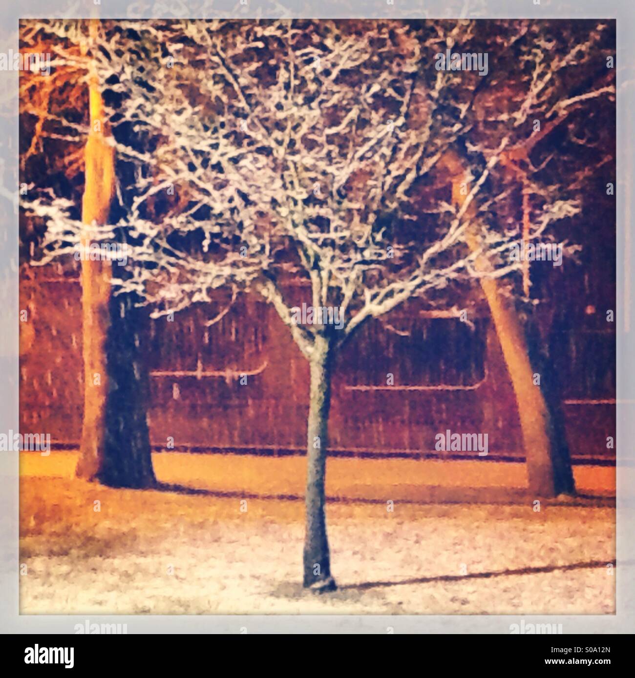 Falling snow illuminated by street lighting hi-res stock photography ...