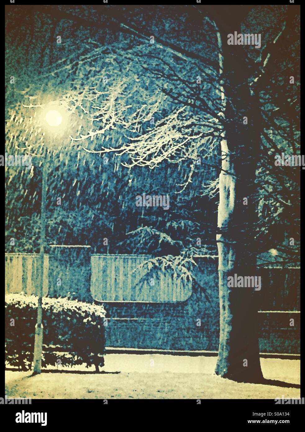 Night time falling snow Stock Photo - Alamy