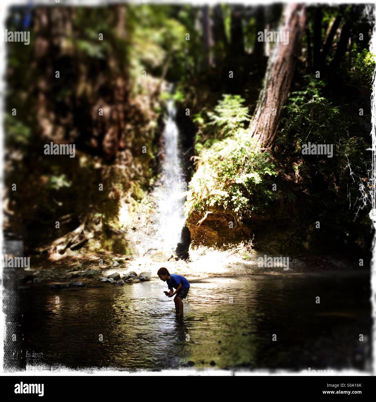 A six year old boy picks up rocks near a waterfall on Bean Creek. Santa ...