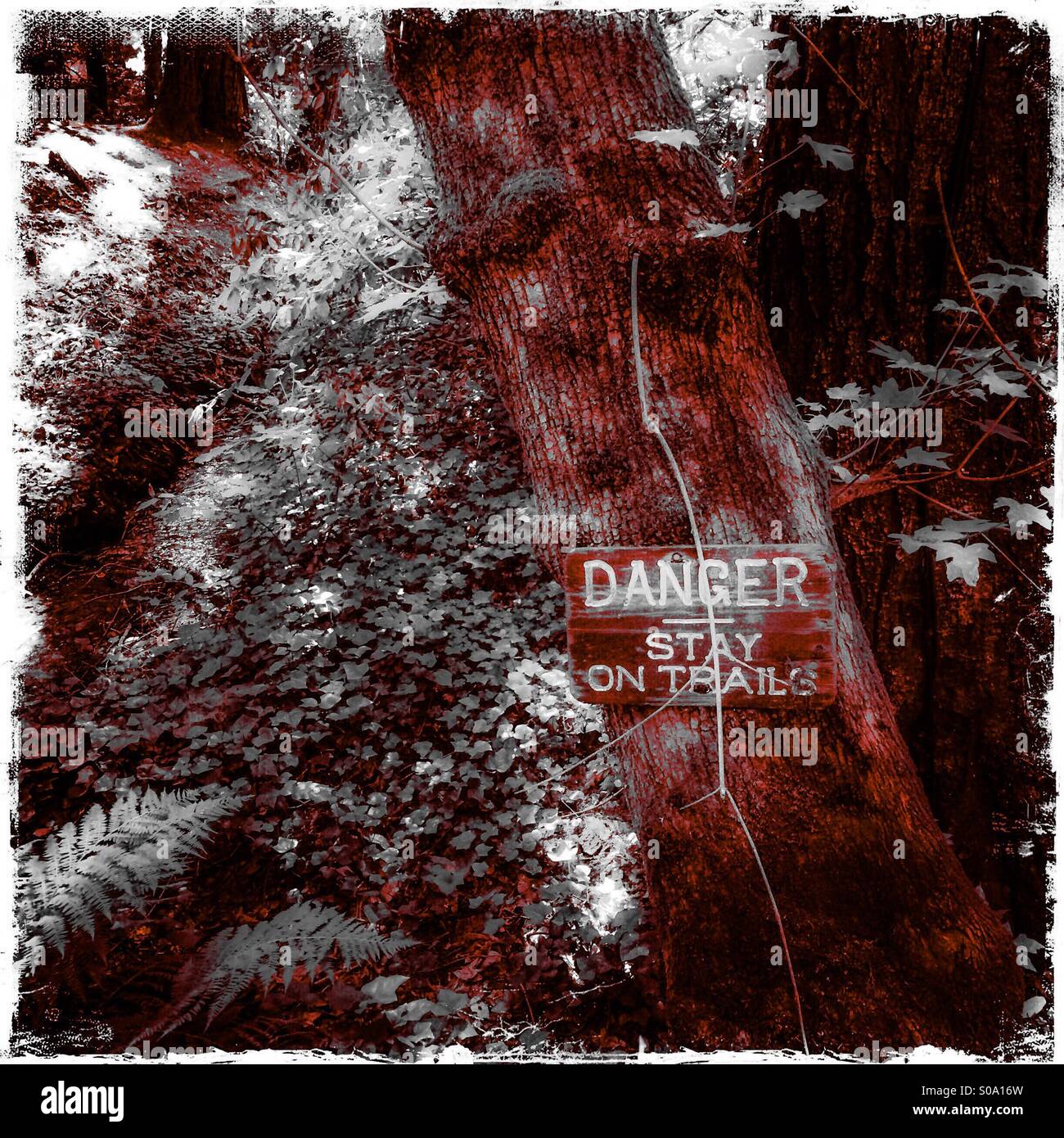 A warning sign in a scary forest Stock Photo - Alamy