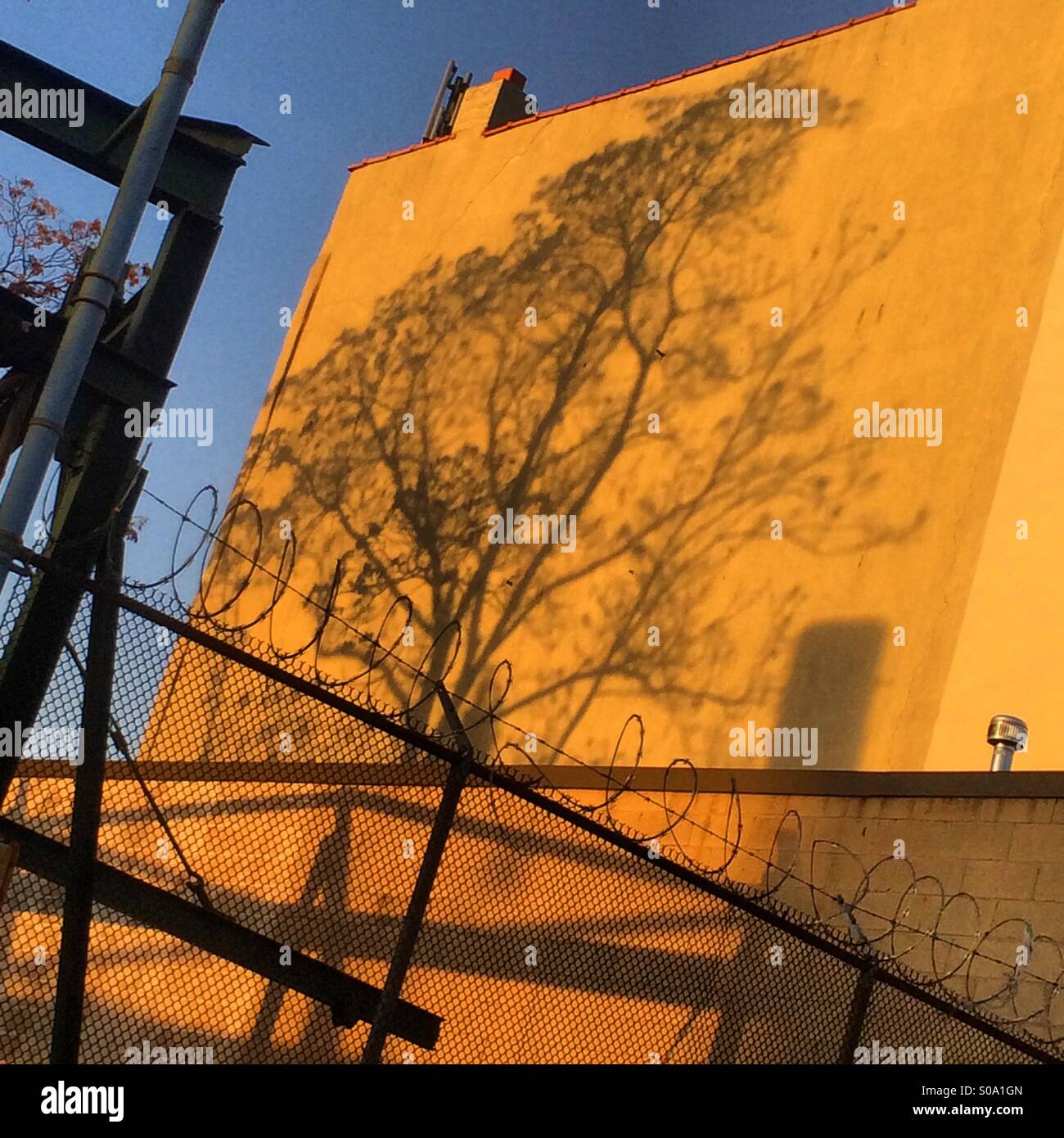 Building shadow sunrise hi-res stock photography and images - Alamy