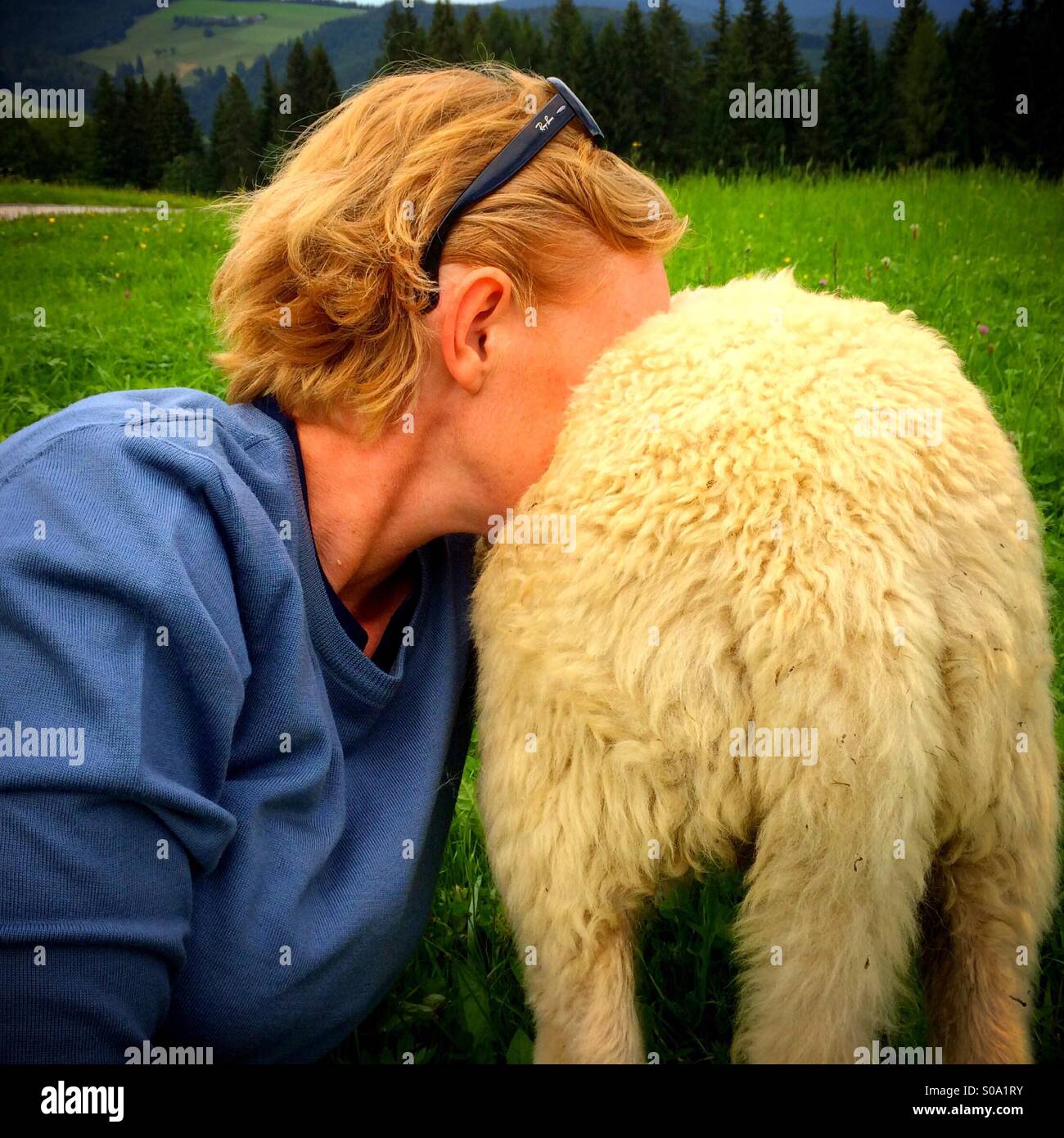 Sheep hugging hi-res stock photography and images - Alamy