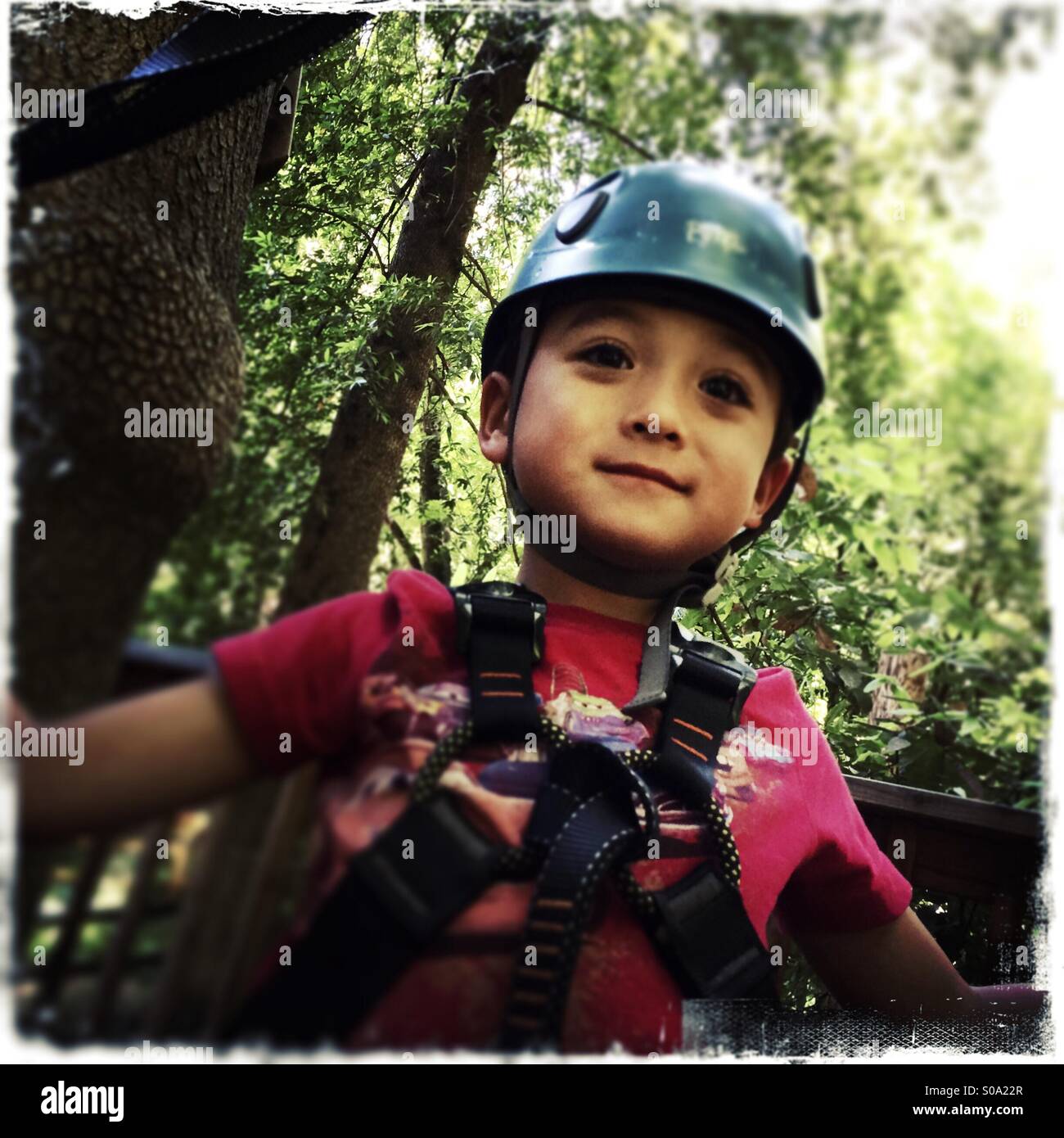 A six year old boy ready to zip line through California redwood trees ...