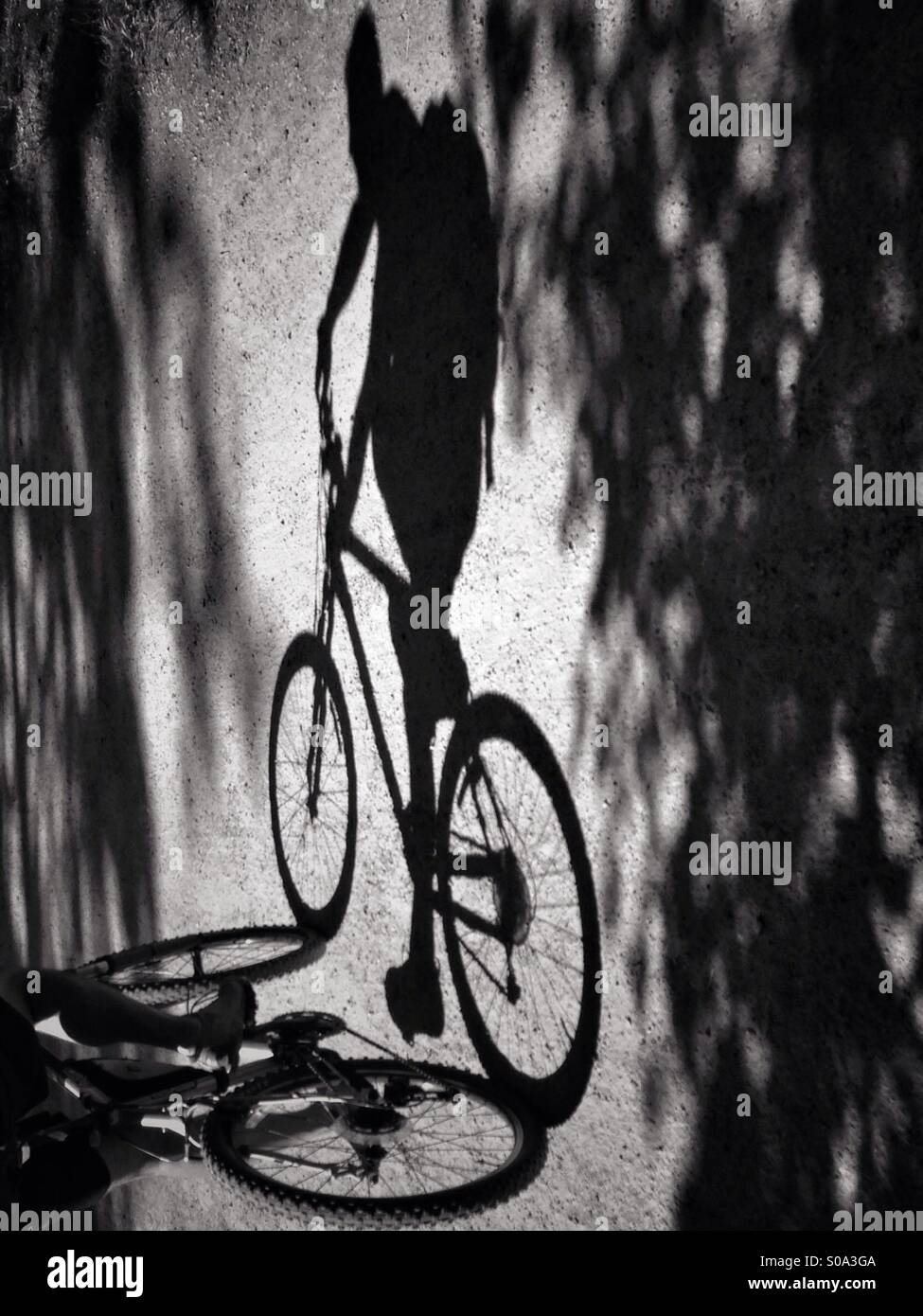Biker shadow hi-res stock photography and images - Alamy