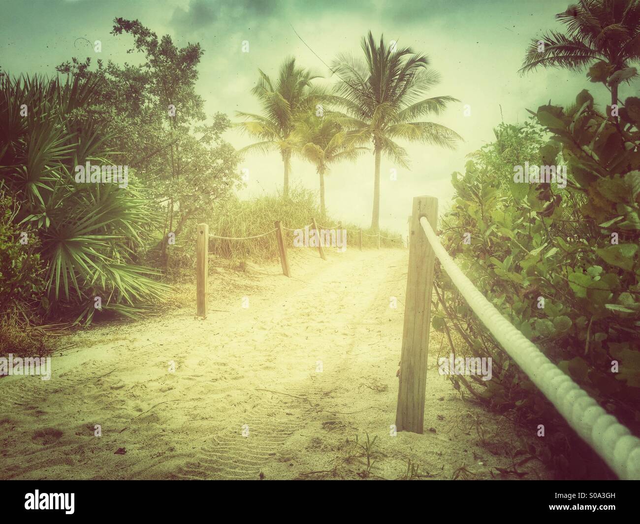Pathway and miami hi-res stock photography and images - Alamy