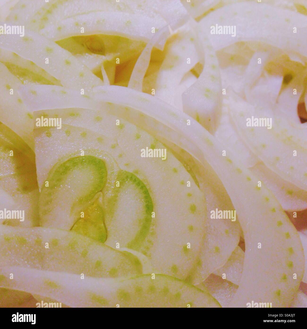 Sliced Fennel High Resolution Stock Photography and Images - Alamy