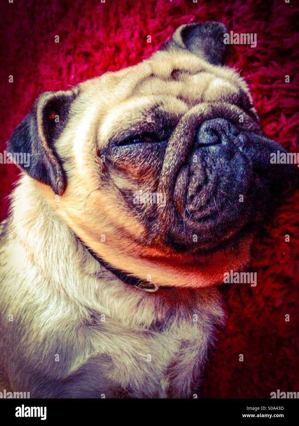 Ugly rug hi-res stock photography and images - Alamy