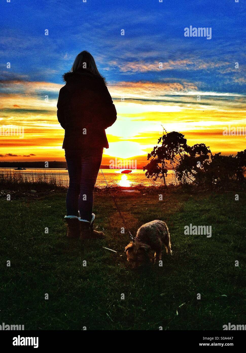 Dog and sunset hi-res stock photography and images - Alamy