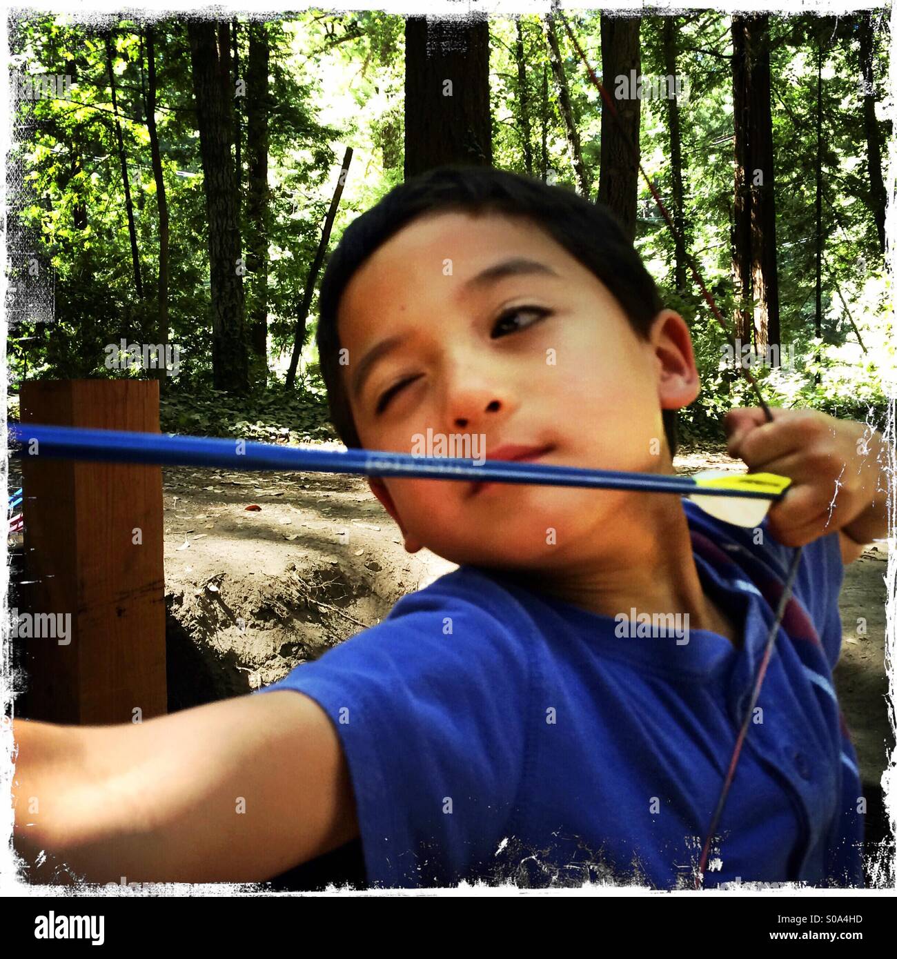 A six year old boy aims an arrow at a target in the forest Stock Photo ...