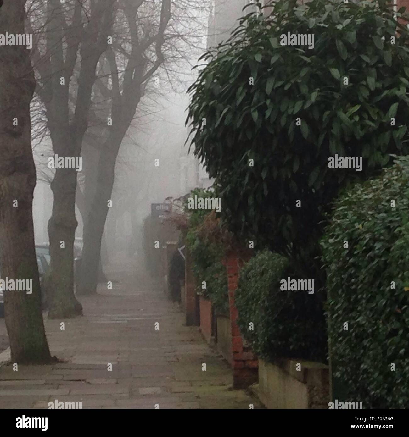 Road and hedge hi-res stock photography and images - Alamy