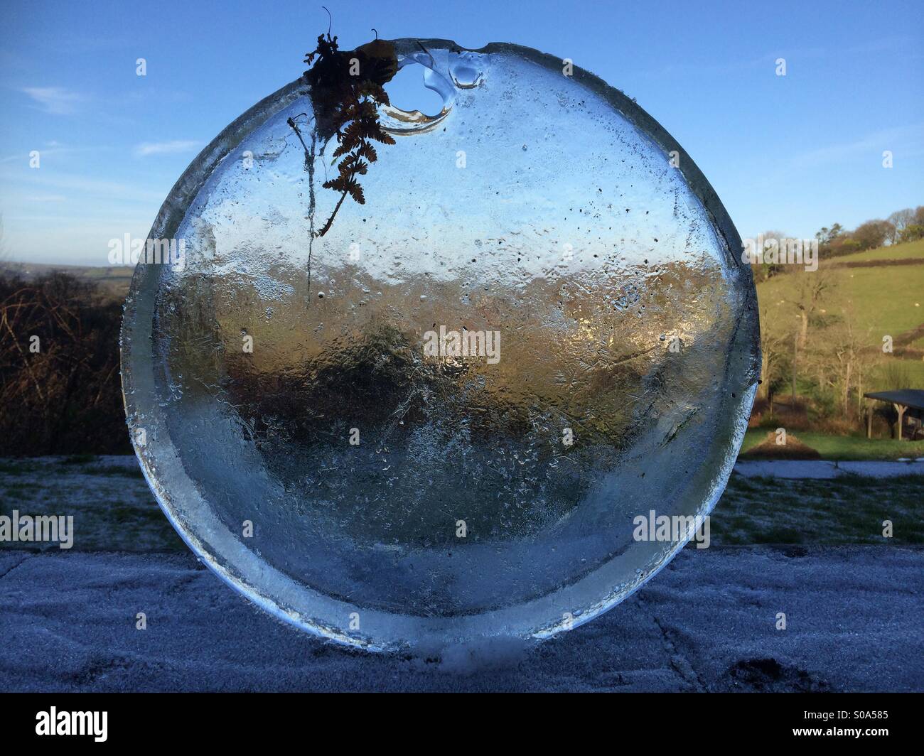 Ice Sculpture Stock Photos & Ice Sculpture Stock Images - Alamy