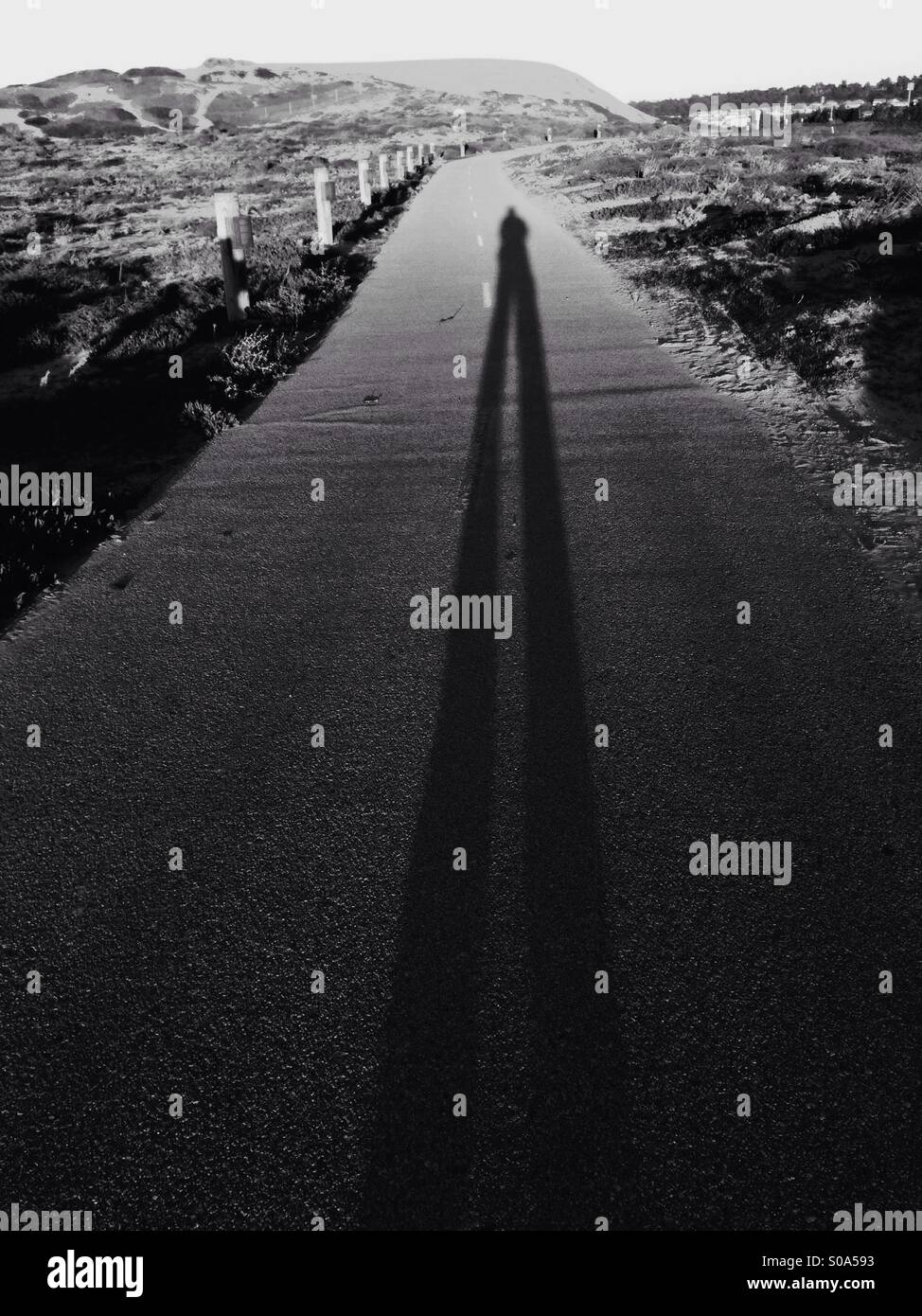 Long shadow at sunset along trail Stock Photo - Alamy