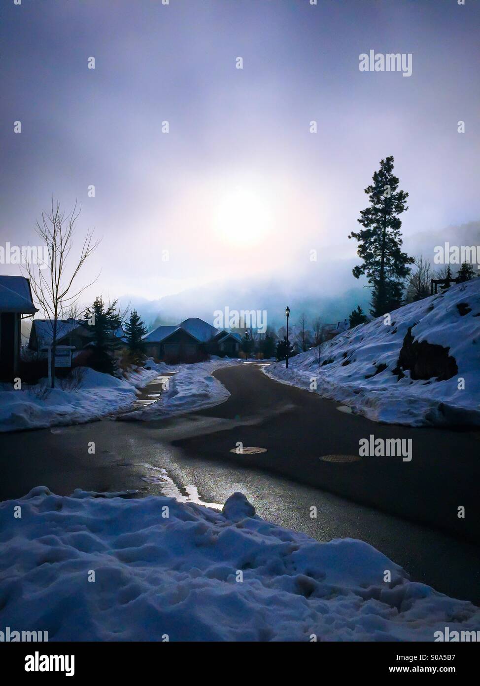 Purple hues highlight this winter scene of fog engulfed neighborhood ...