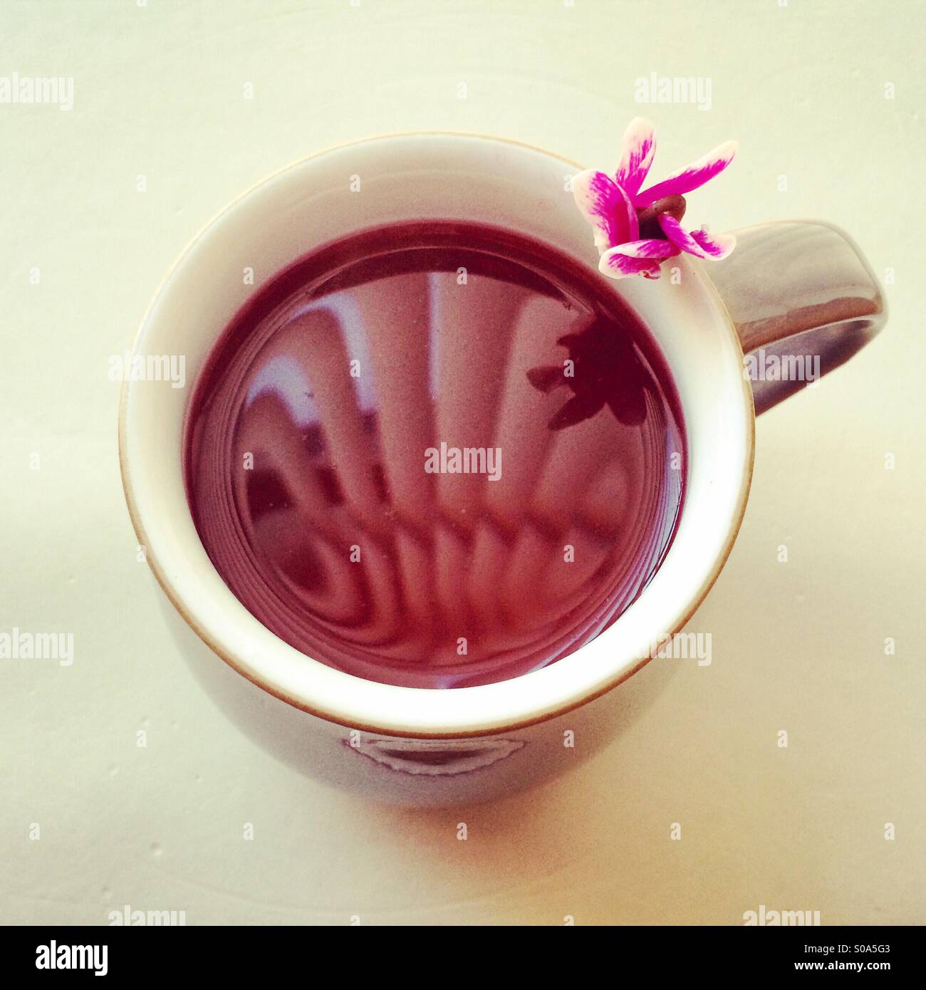 Flower and fruit tea hi-res stock photography and images - Alamy