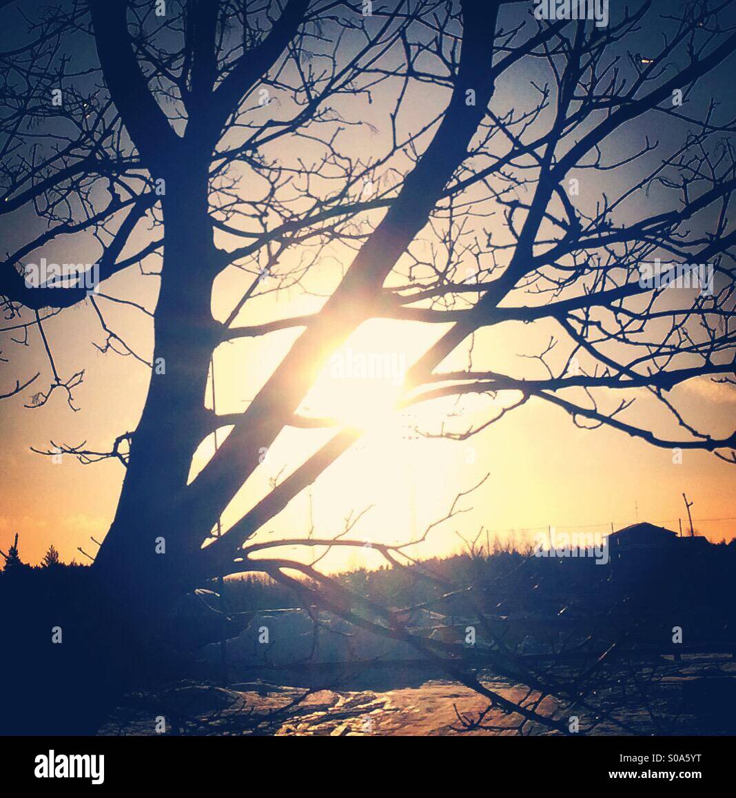 Sunlight afternoon hi-res stock photography and images - Alamy