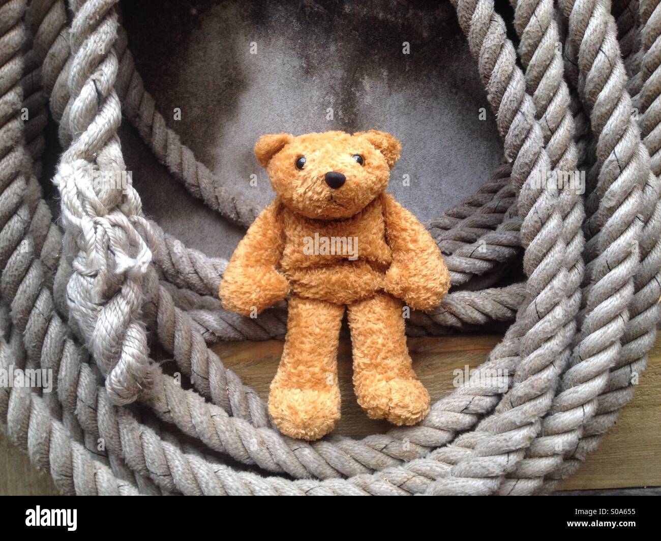 Pooh bear toy hi-res stock photography and images - Alamy
