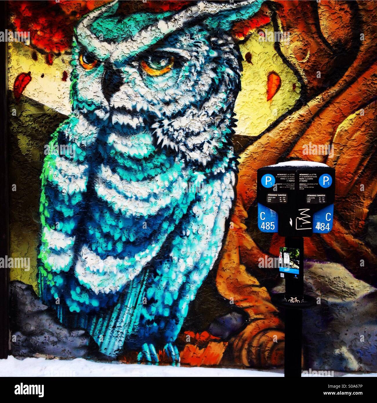 Owl graffiti hi-res stock photography and images - Alamy