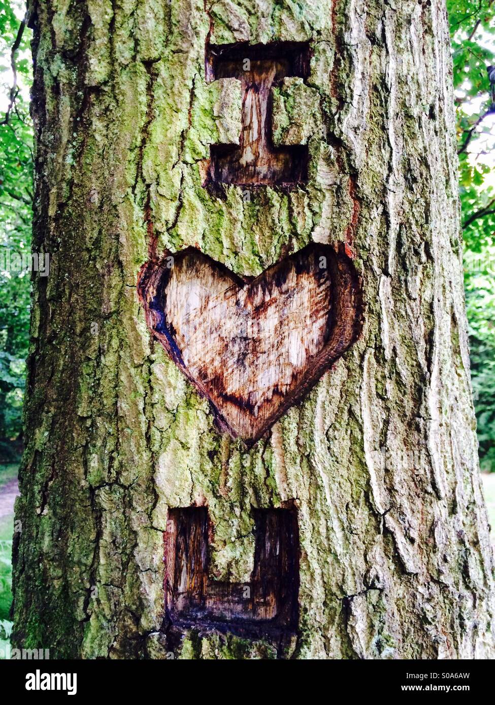 Carving tree love hi-res stock photography and images - Alamy