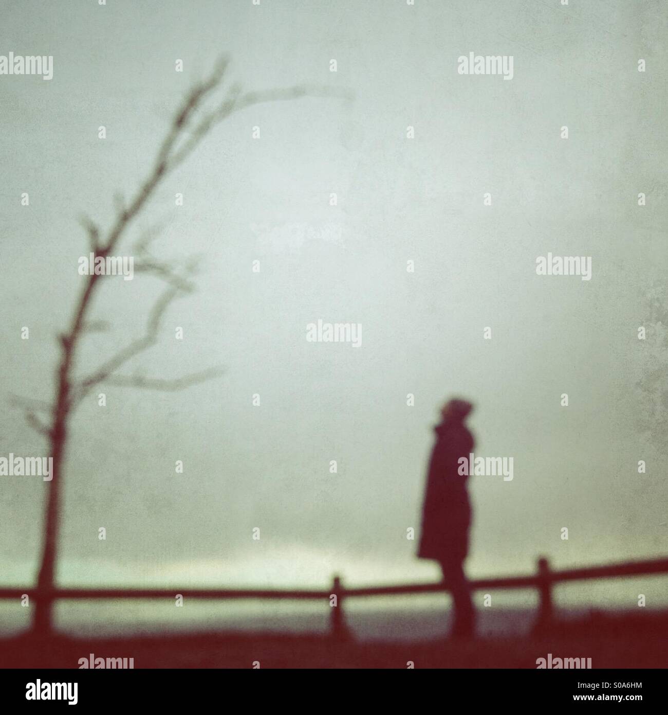 Looking at Nature Stock Photo - Alamy