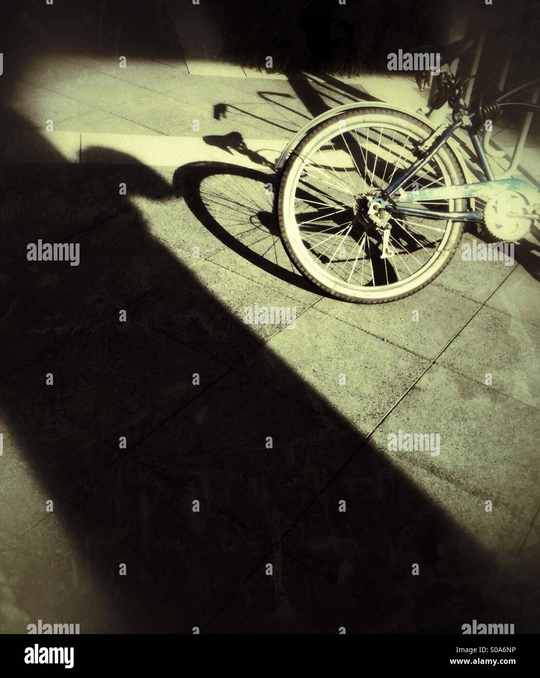 Bicycle wheel casting shadow Stock Photo - Alamy
