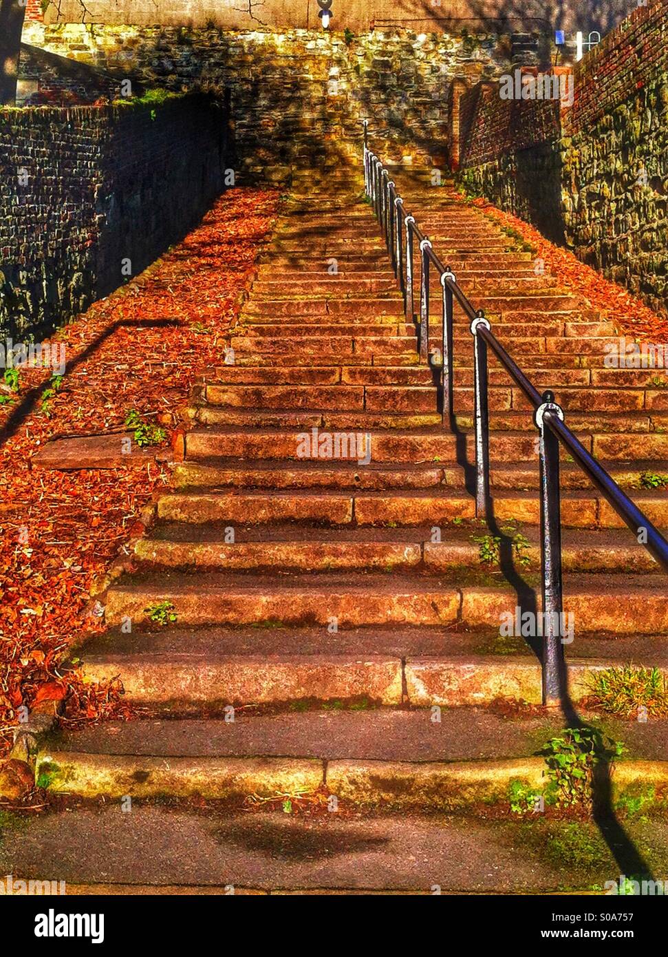 Outside steps and handrail hi-res stock photography and images - Alamy