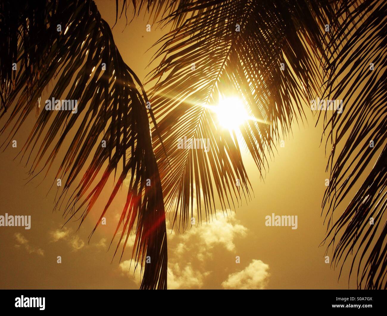 Caribbean sun hi-res stock photography and images - Alamy