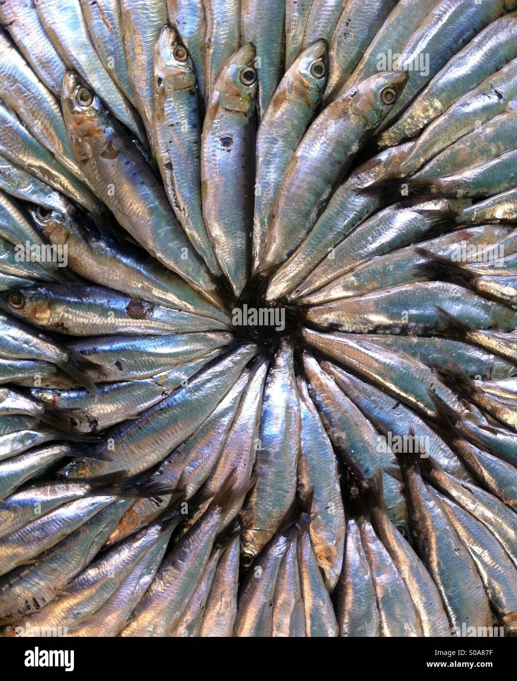 Circular pattern hi-res stock photography and images - Alamy