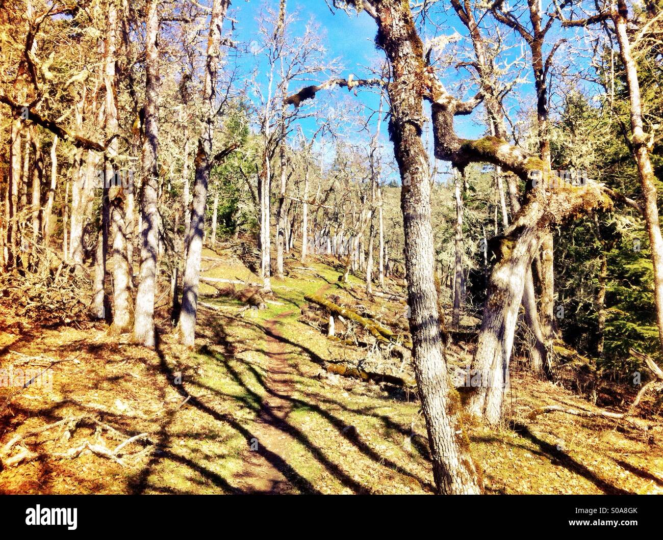 Bright explore hi-res stock photography and images - Alamy