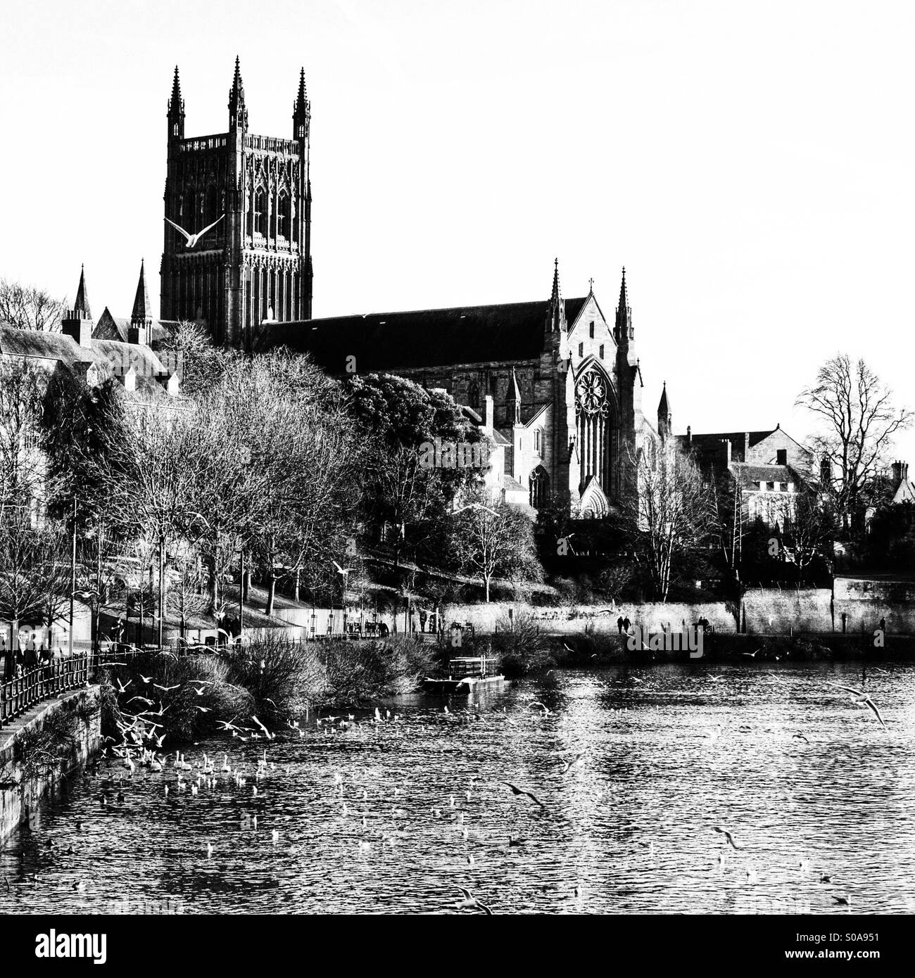 Worcester cathedral view Black and White Stock Photos & Images - Alamy