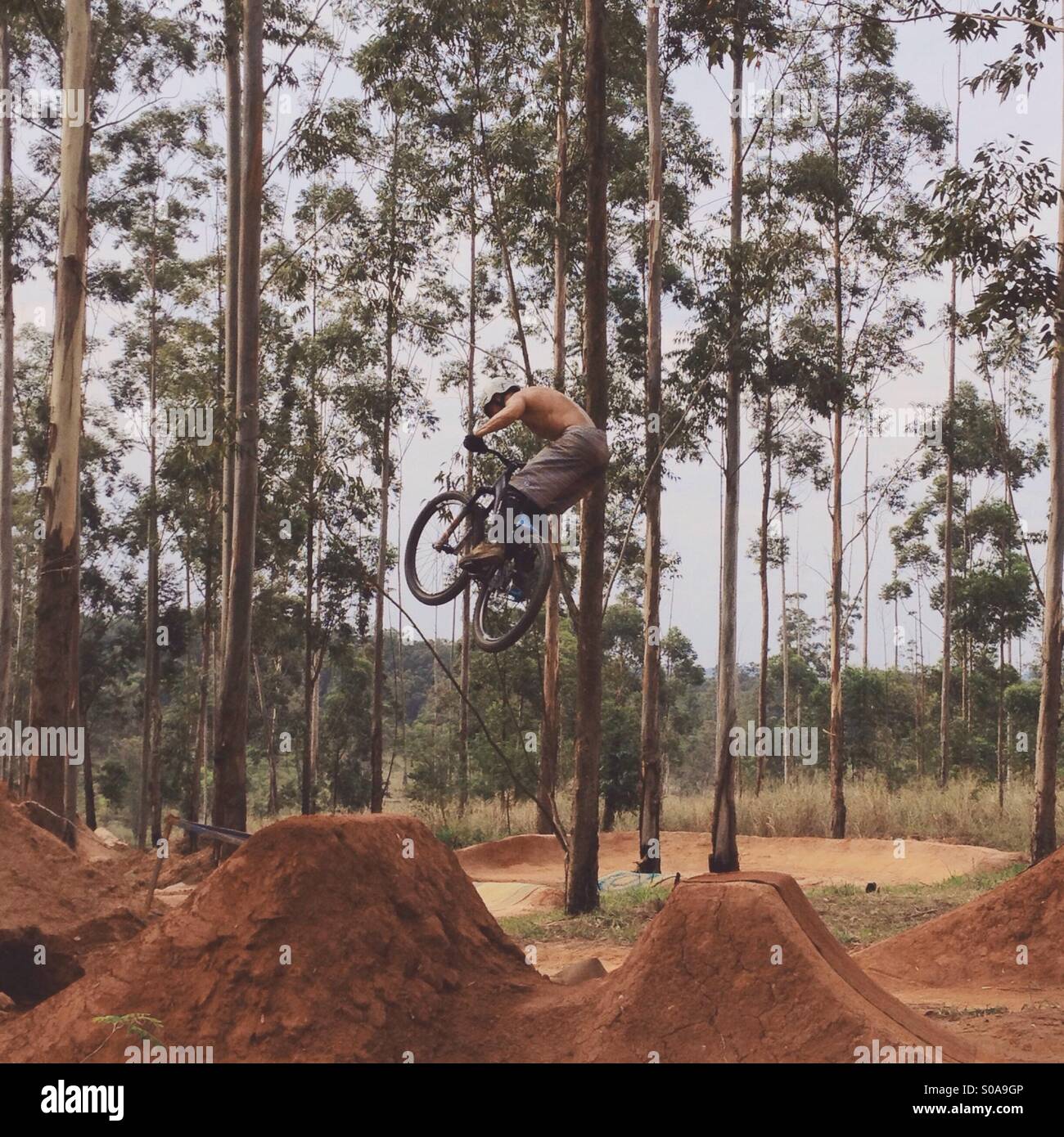 Jumping tree hi-res stock photography and images - Alamy