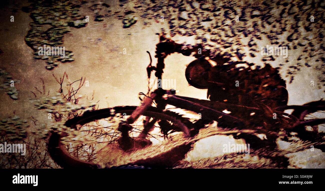 Reflection in puddle of young girl riding bike Stock Photo - Alamy