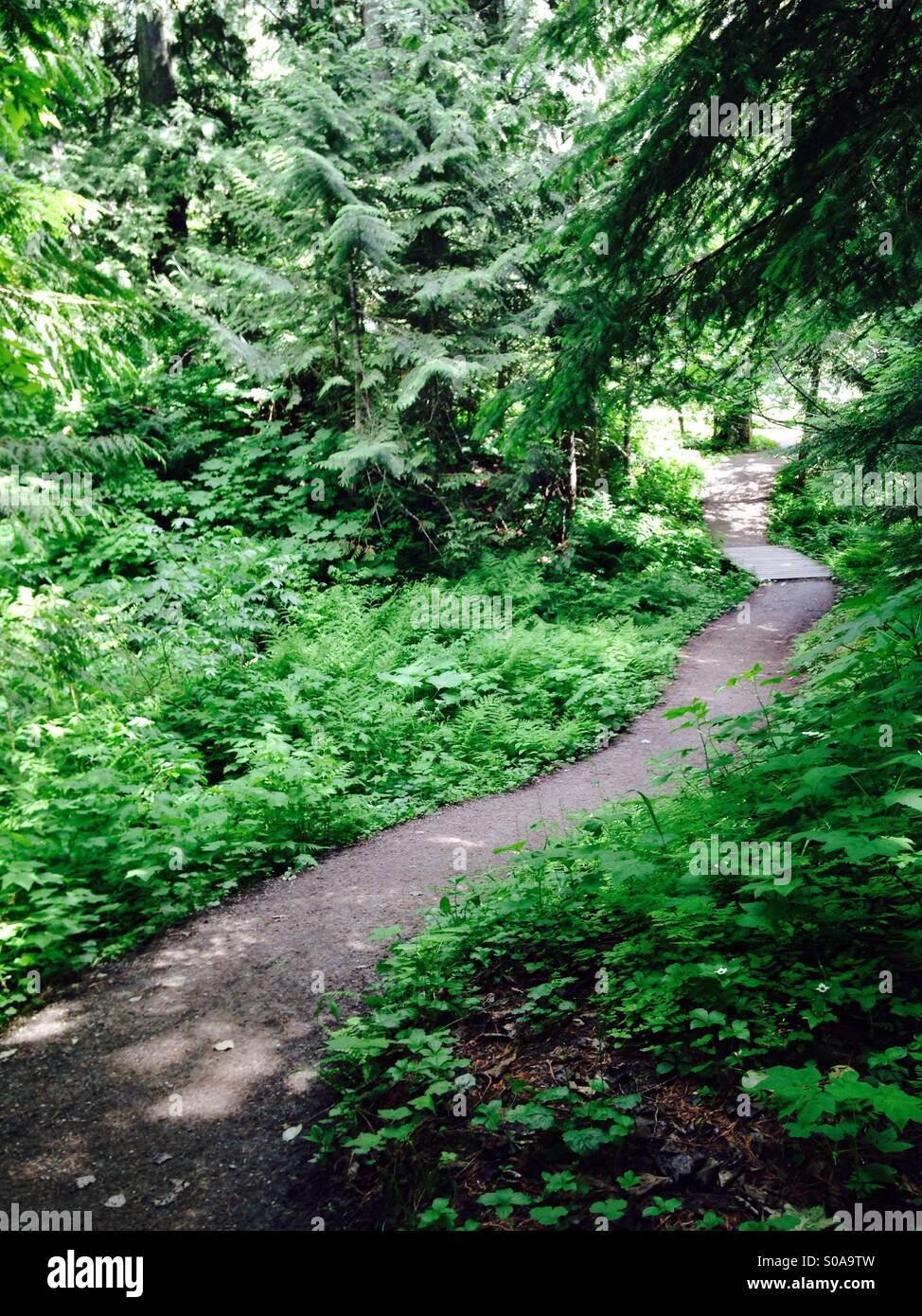 Follow path hi-res stock photography and images - Alamy