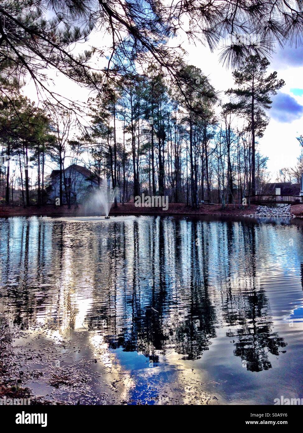Reflections in a pond Stock Photo - Alamy