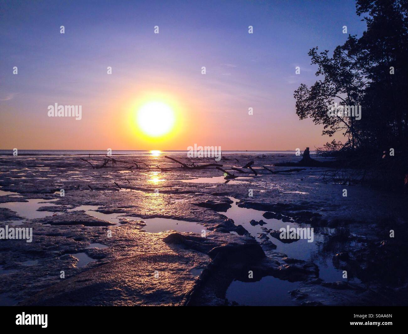 Sunset when the tide is low Stock Photo - Alamy