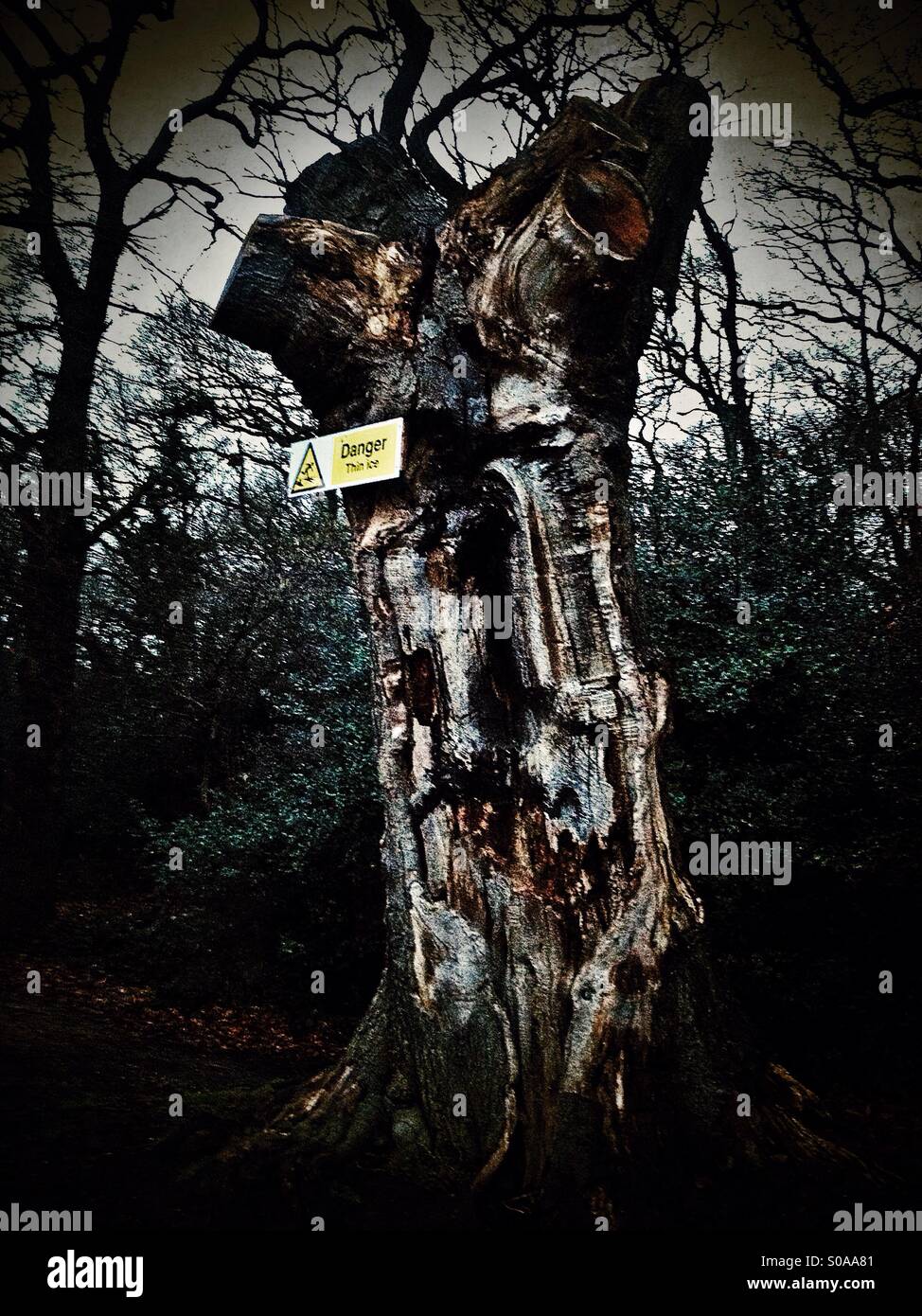 Warning sign on tree hi-res stock photography and images - Alamy
