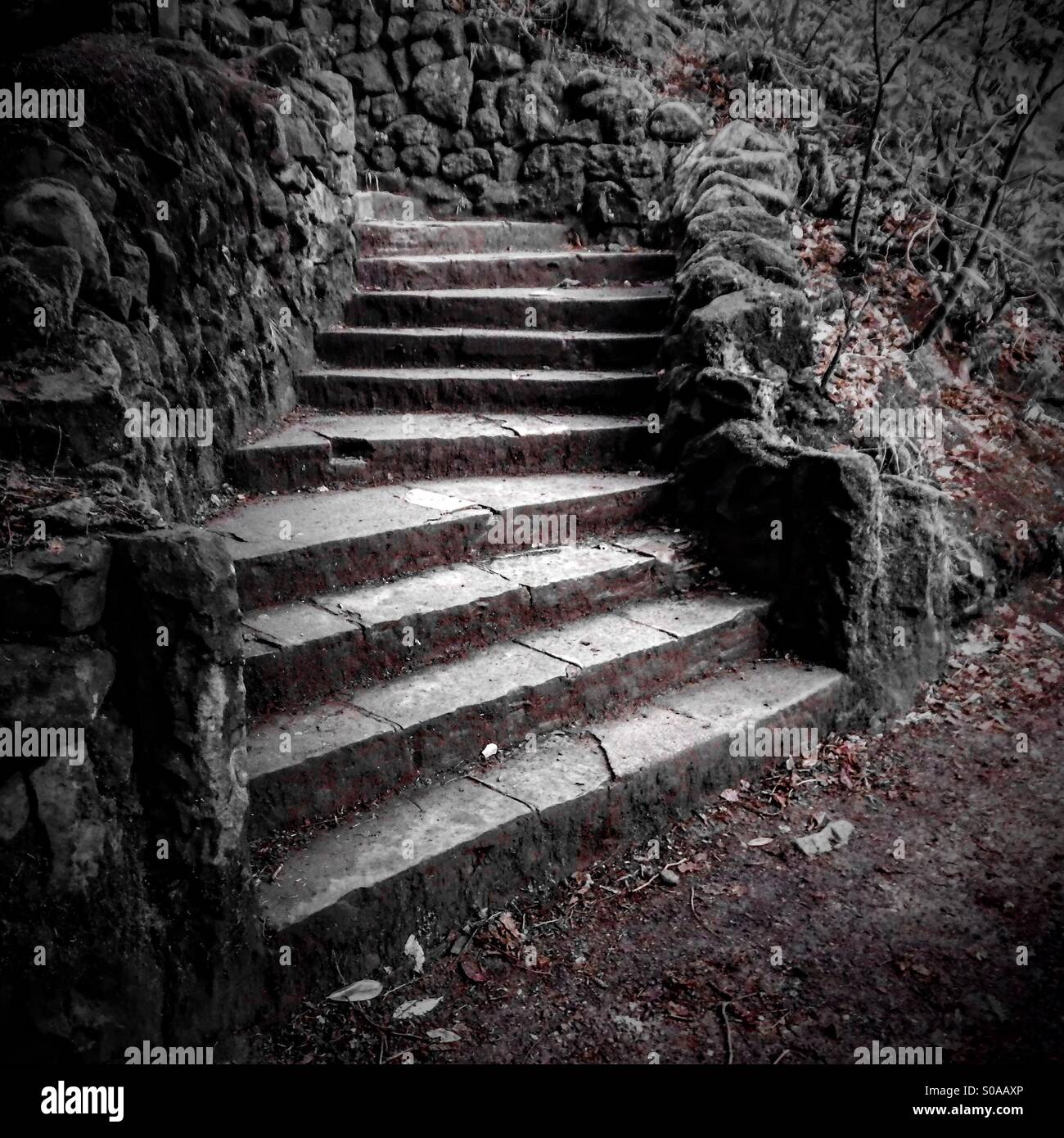 Curved stone steps old hi-res stock photography and images - Alamy