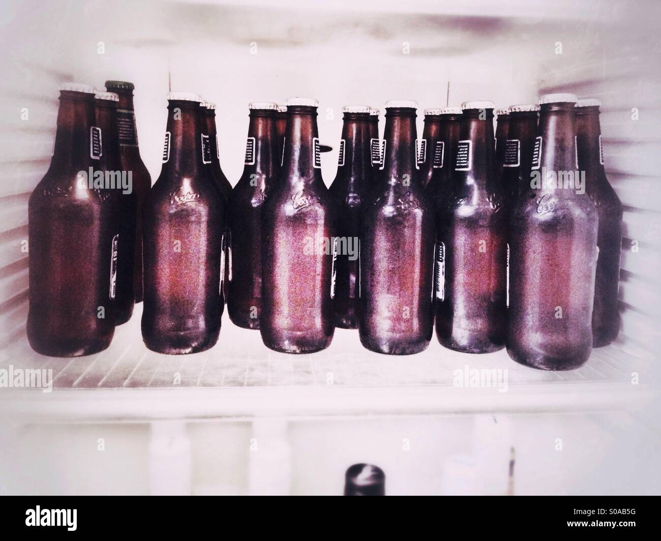 Fridge full of cold beer Stock Photo - Alamy