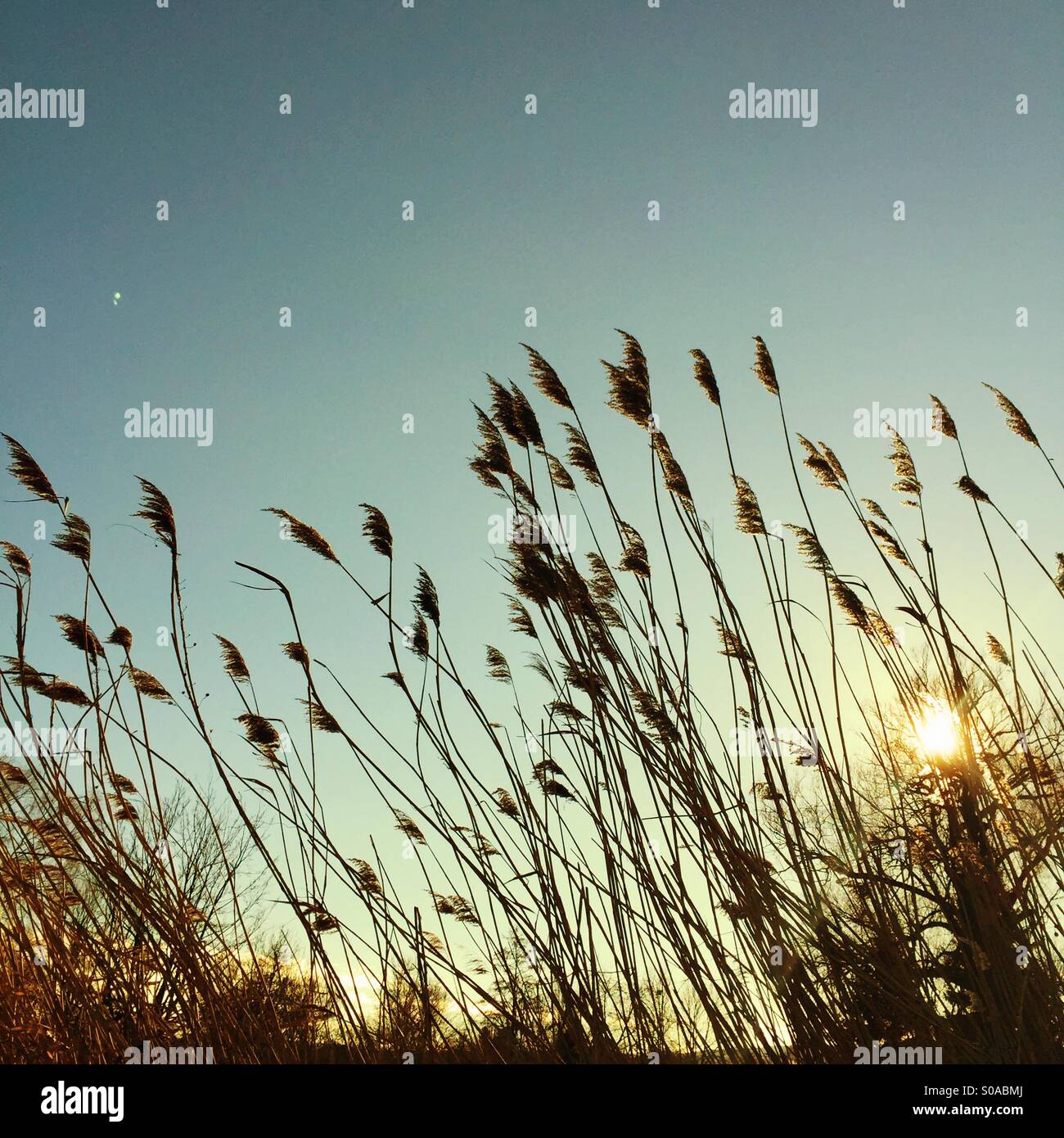 Sky dance hi-res stock photography and images - Alamy