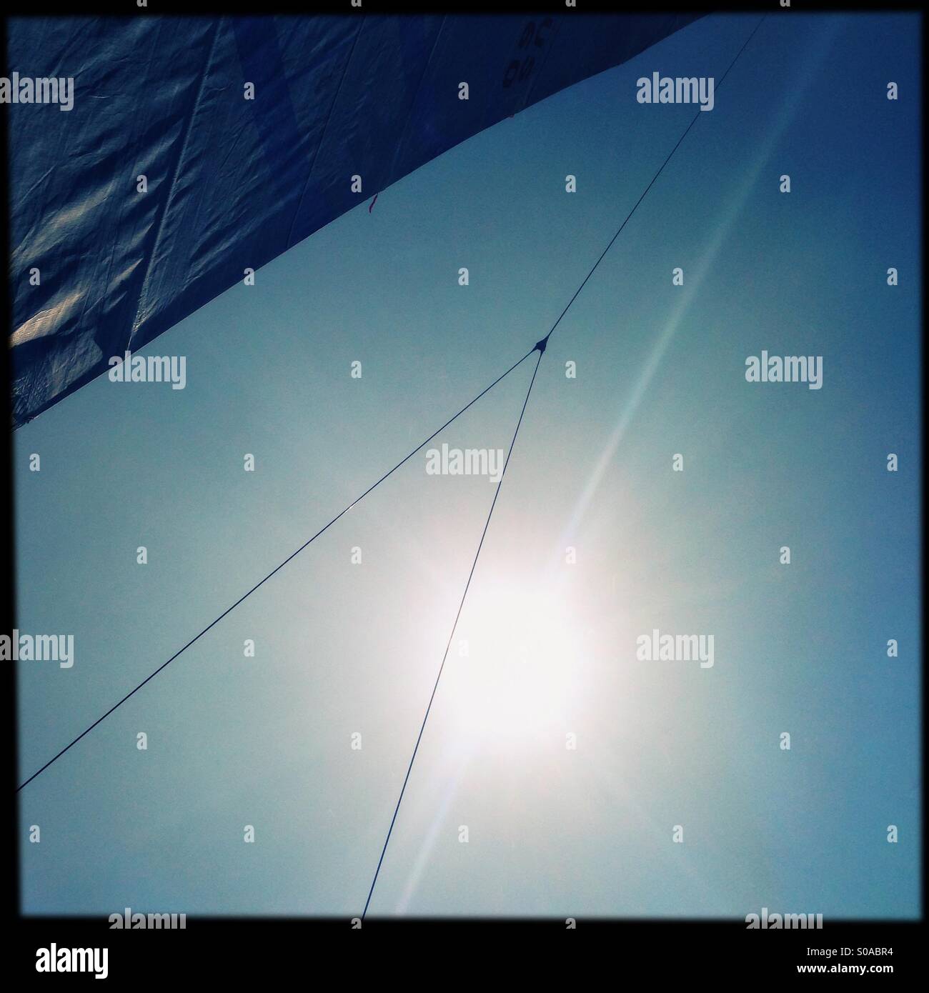 Low angle view sun flare hi-res stock photography and images - Alamy