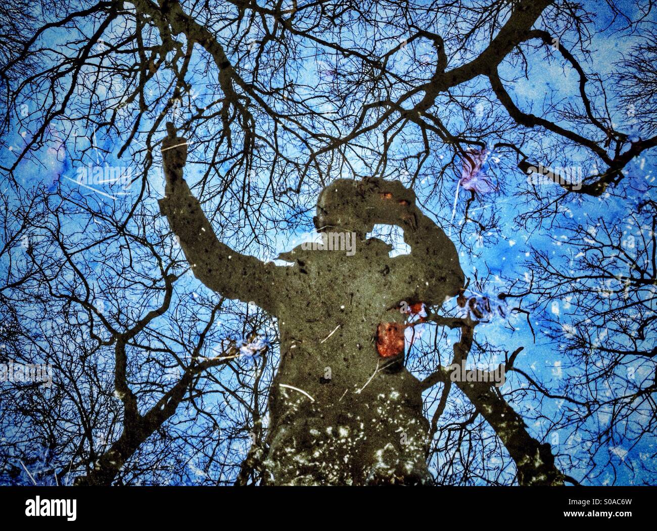 Selfie reflection in puddle thumbs hi-res stock photography and images ...