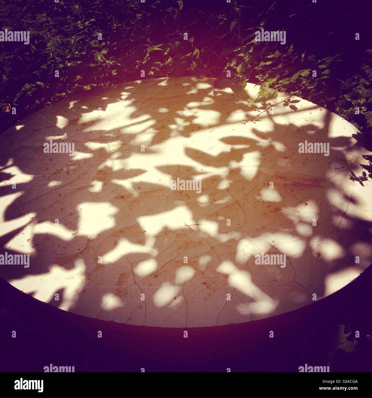Table shadows hi-res stock photography and images - Alamy