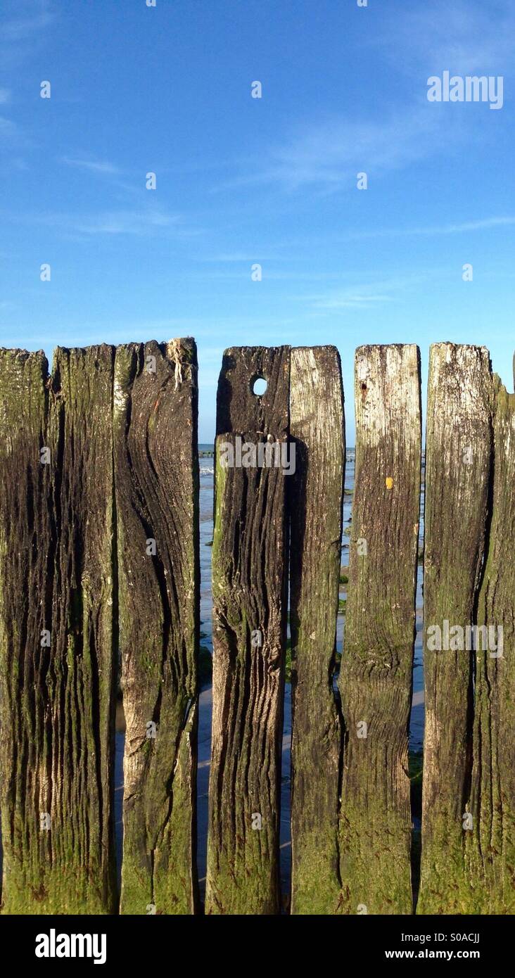 Weathered wooden defences on the beach Stock Photo - Alamy