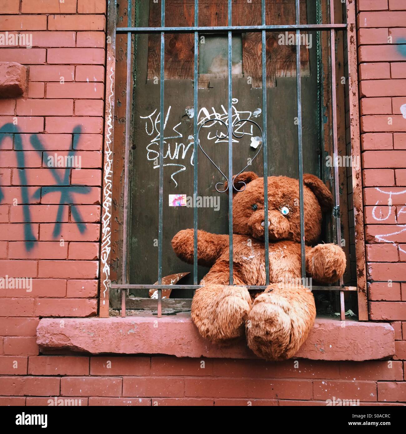 Teddy Bear Behind Bars In High Resolution Stock Photography and Images ...