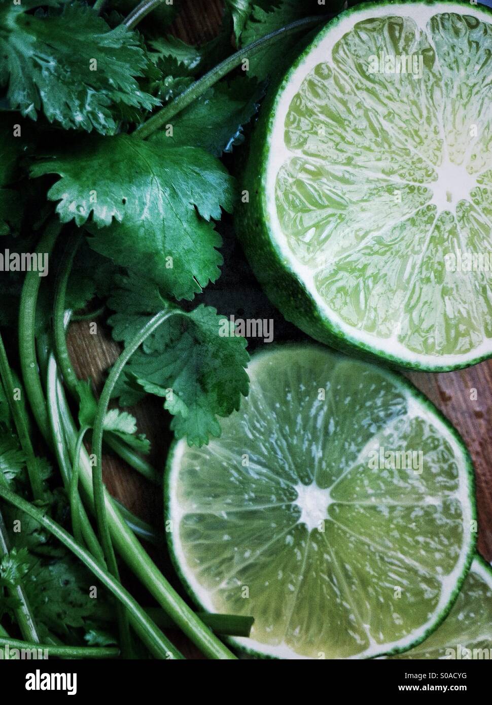 Lime and cilantro-staples of Mexican cuisine Stock Photo - Alamy