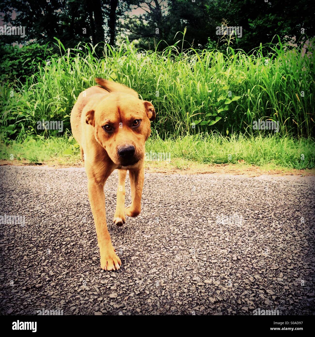 Unfamiliar hi-res stock photography and images - Alamy