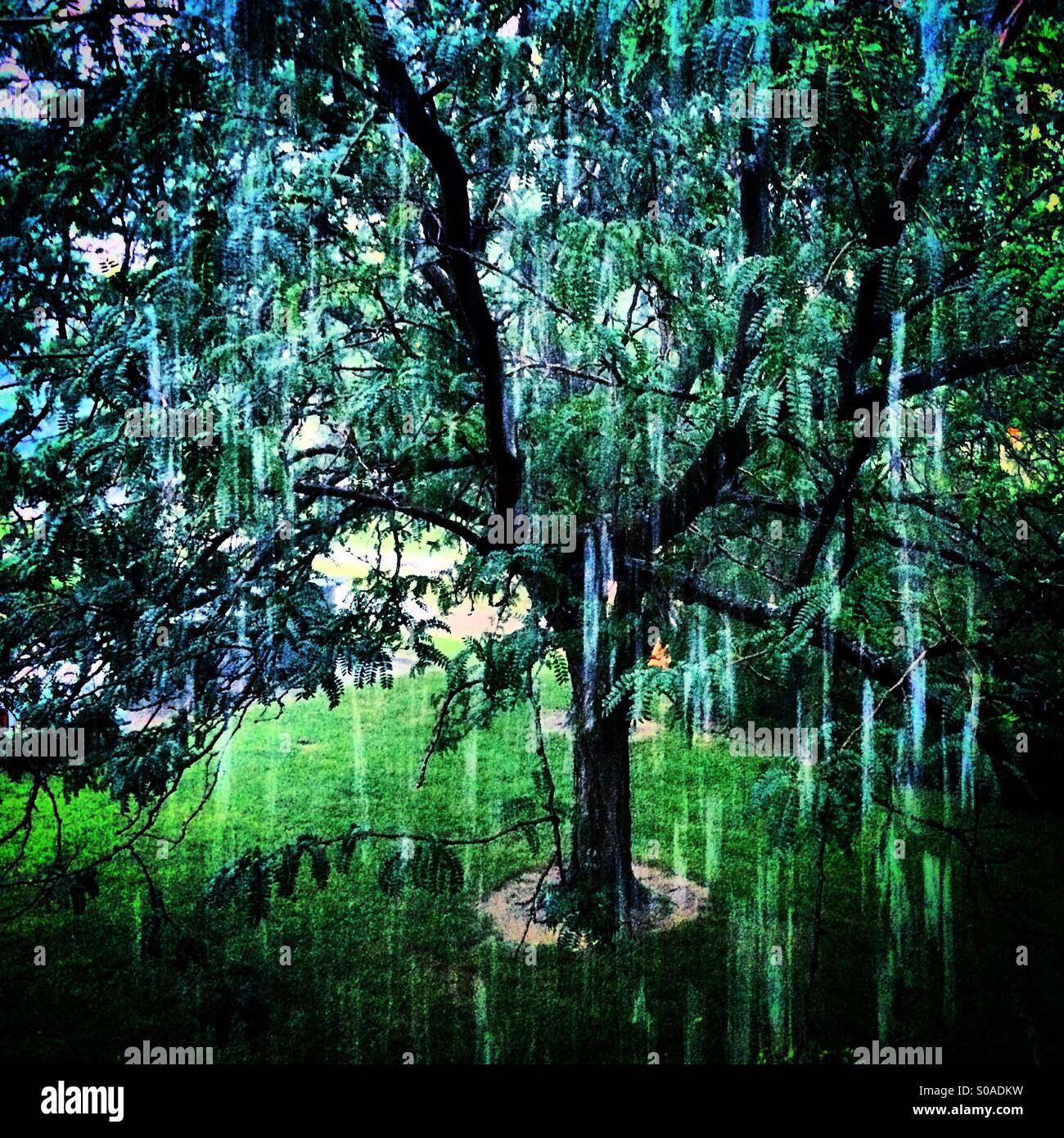 Rain fall hi-res stock photography and images - Alamy